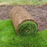 Entreprise pose de pelouse rouleau 93 à Noisy-le-Grand : Mayer